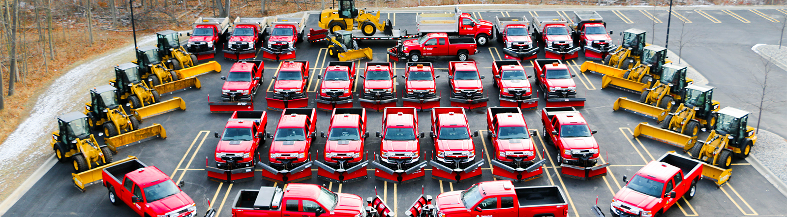 Landscape Management - Timberland Landscape